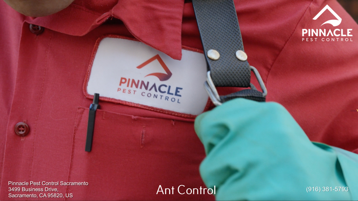 Pinnacle Pest Control