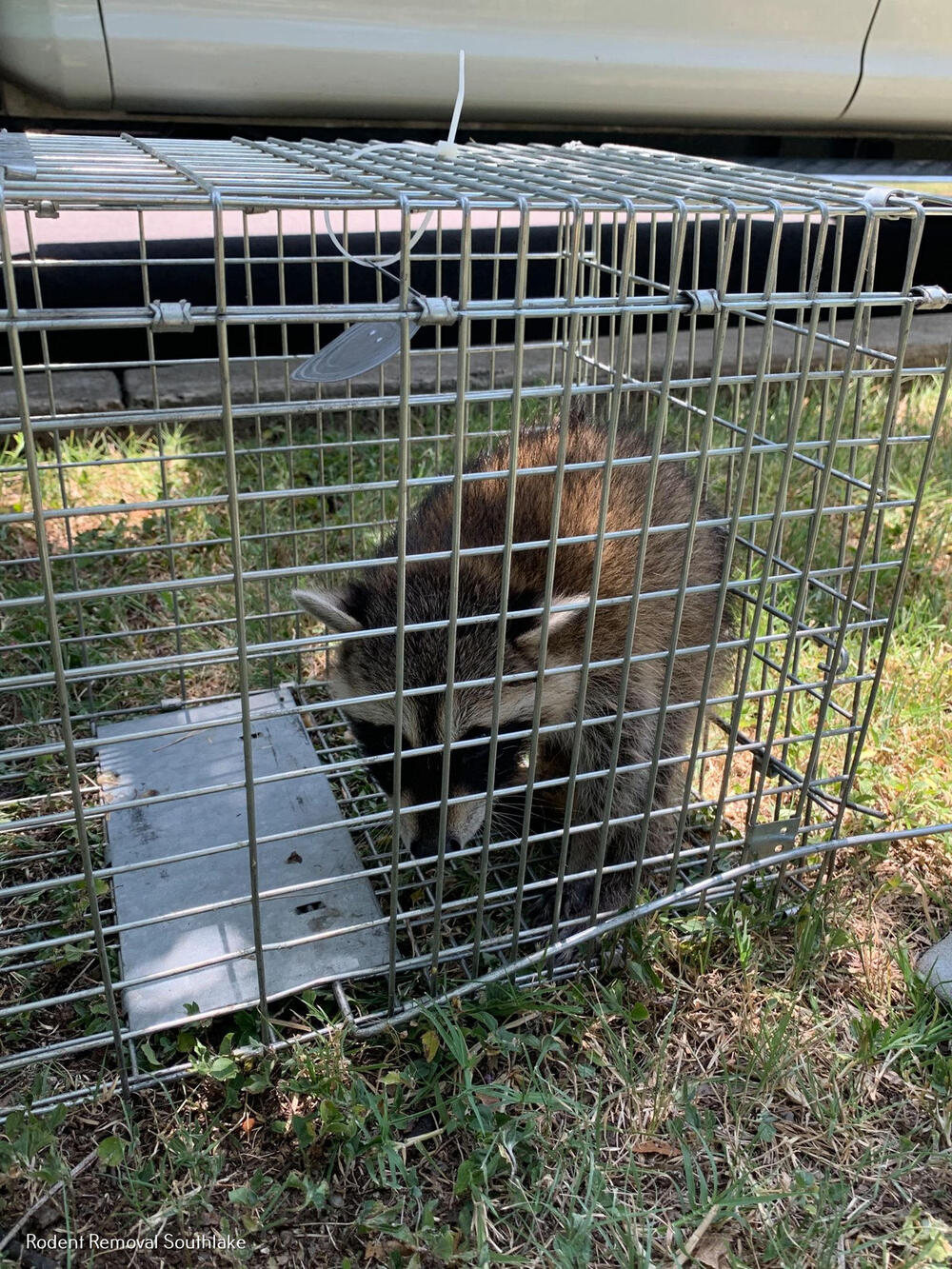 Critter Stop