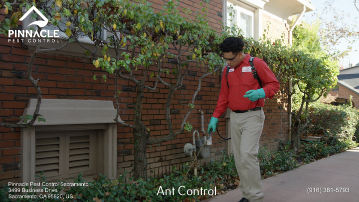 Pinnacle Pest Control